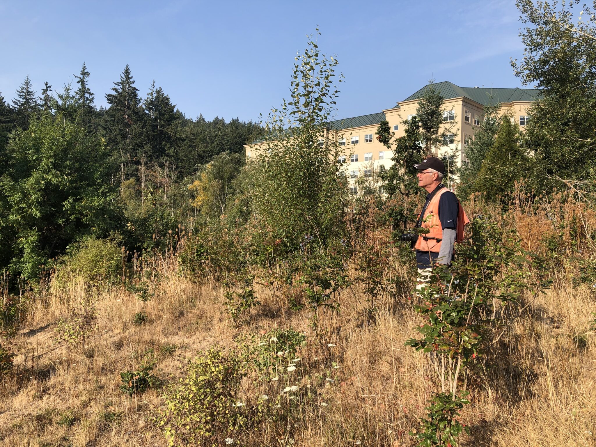 Protecting open spaces in Happy Valley - City of Happy Valley