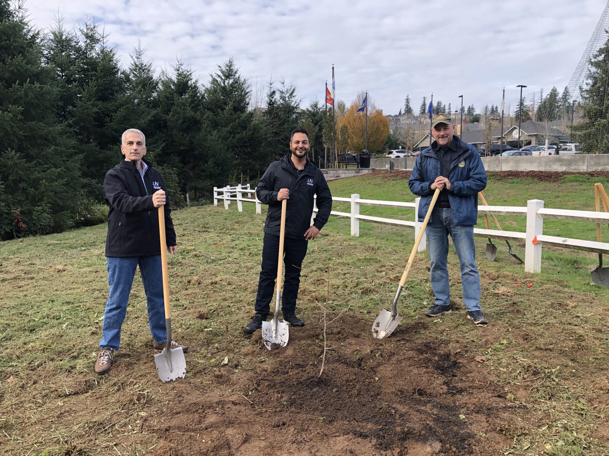 Peace Tree - City of Happy Valley