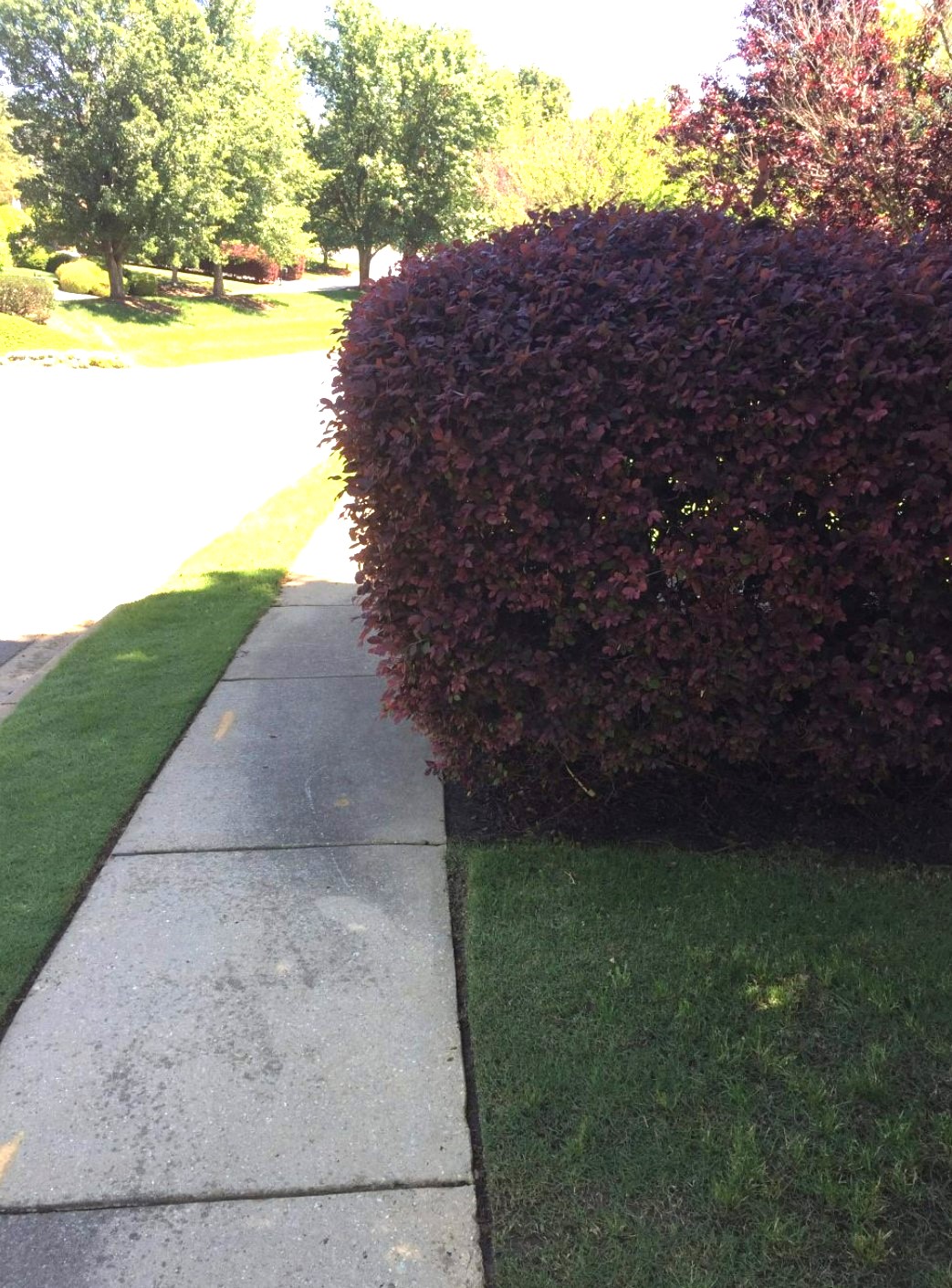 Sidewalk Maintenance - City of Happy Valley