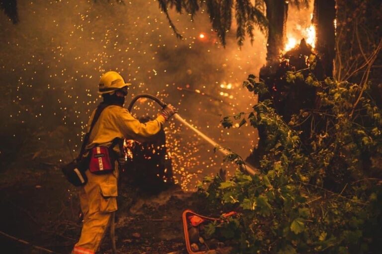 Wildfire Risk Reduction Grant - City of Happy Valley